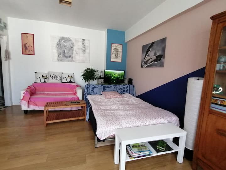 Appartement Une Chambre.2lits - Meise
