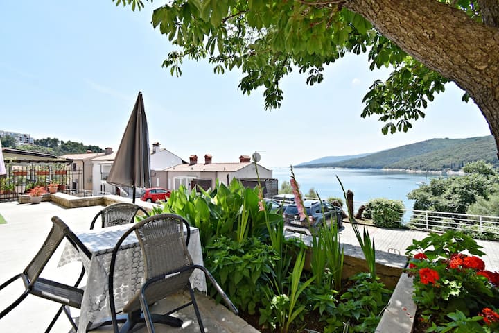 Apartment Mari / 2-3 Persons - Ravni