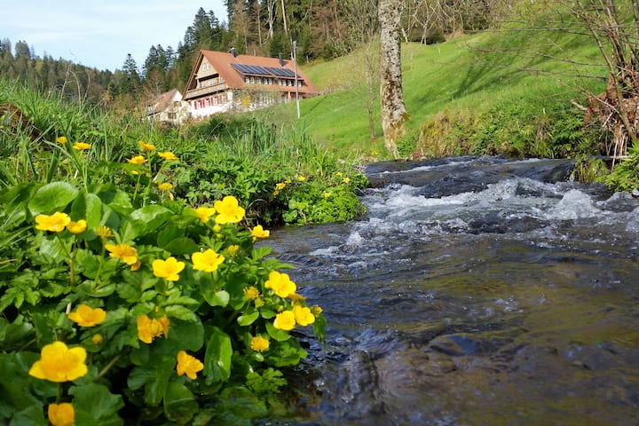 Neue Fewo Auerhahn - Reichenbacher Hof, Waldrand - Kniebis