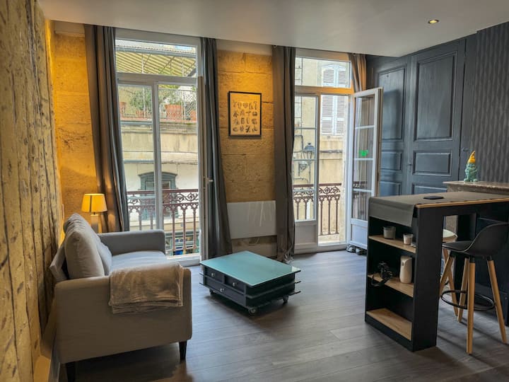 Appartement T1 Bis - Haute-ville - Auch