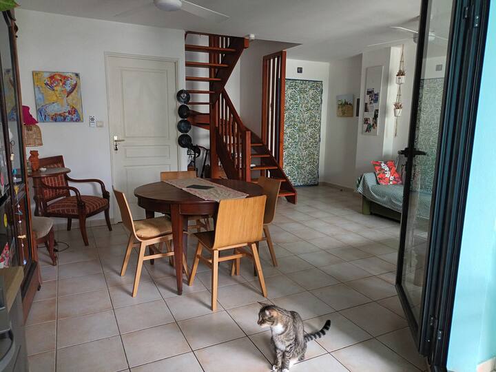 Kozy Pour Kaz Cosy - Saint-Denis