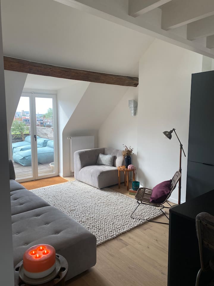 Charmant Duplex Rénové + Exterieur - 布魯塞爾