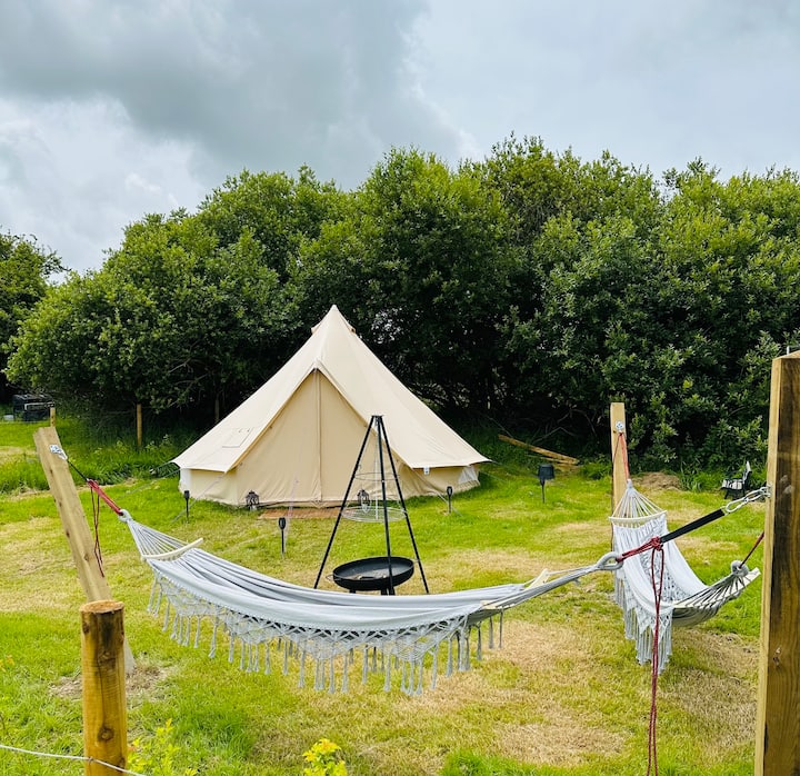 Alpaca Glamping - Seaford