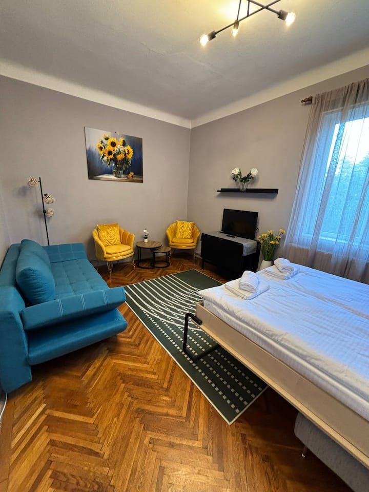 Sunflower Apartment - Cluj-Napoca