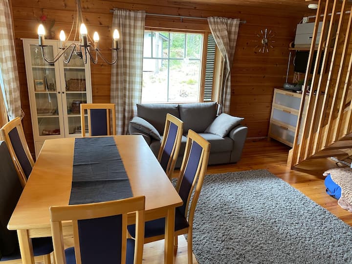 Mökki Jämsä, Päijänteen Rannalla - Suomi