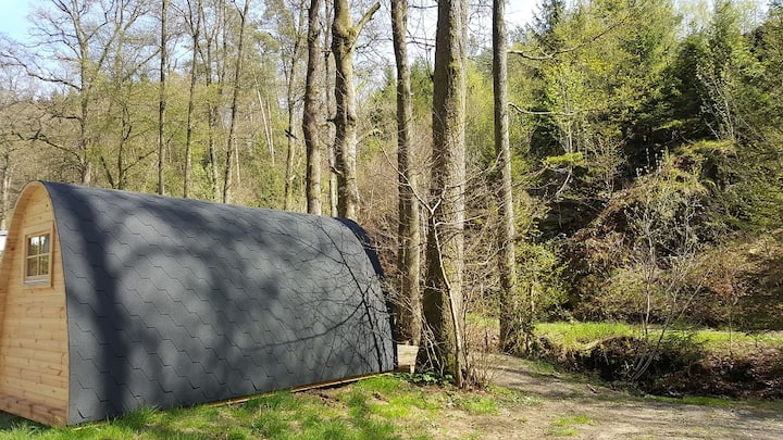 La Hutte Du Trappeur (Cabane/pod - Florenville