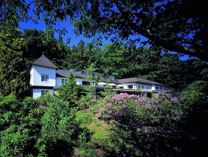 Waldhotel In Bensberg Bei Köln - Cologne