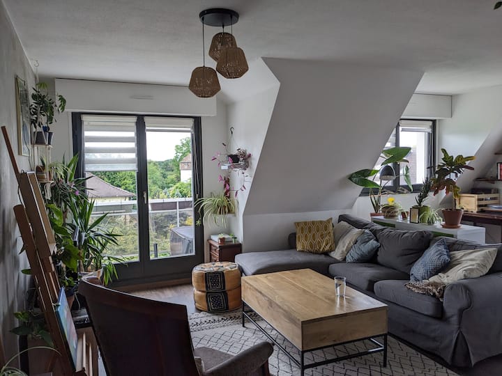 Chambre Chez L'habitant - Schiltigheim