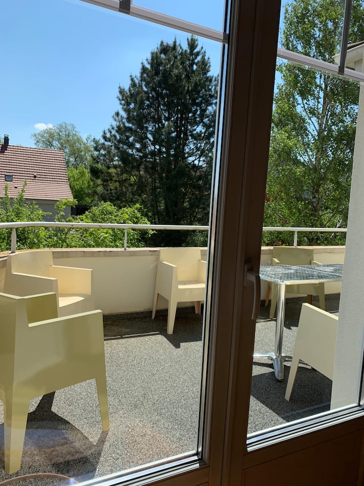 Appartement 4 Pers Avec Terrasse - Saverne