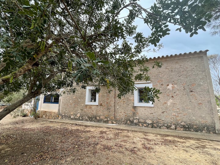 Autentica Finca Payesa - Formentera