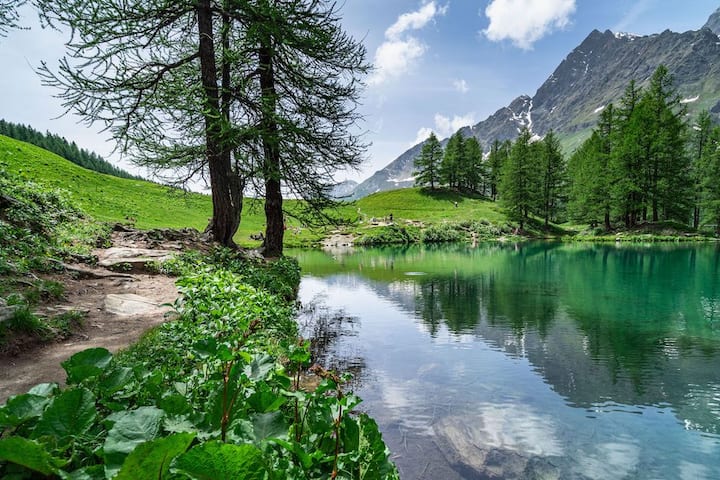 Residenza Rita - Bilocale 1 - Foppolo