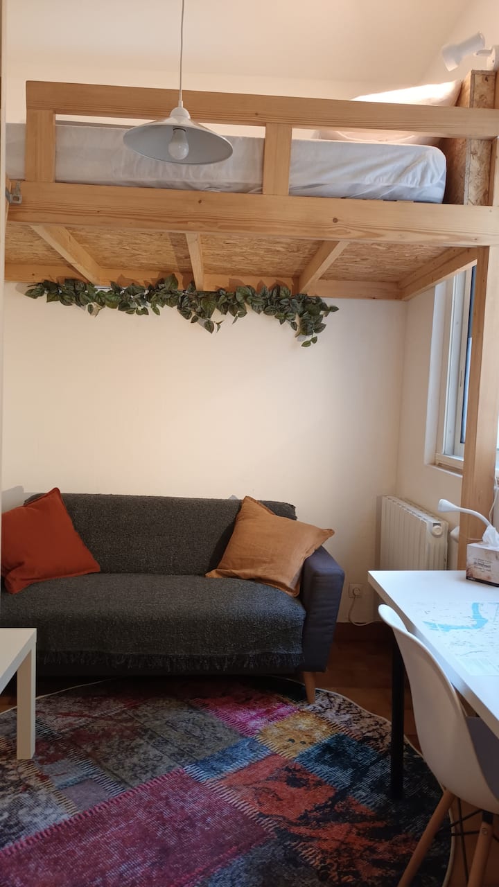 Petit Mignon - Hypercentre - Toulouse