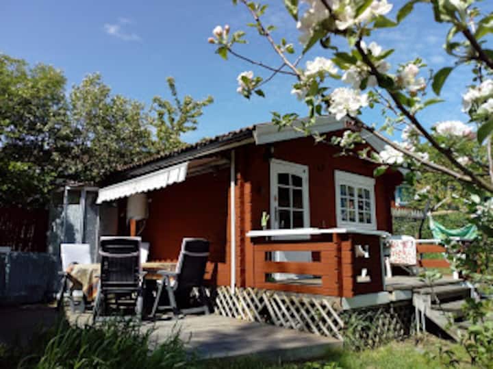 Stuga I Stockholms Skärgård - Sandhamn