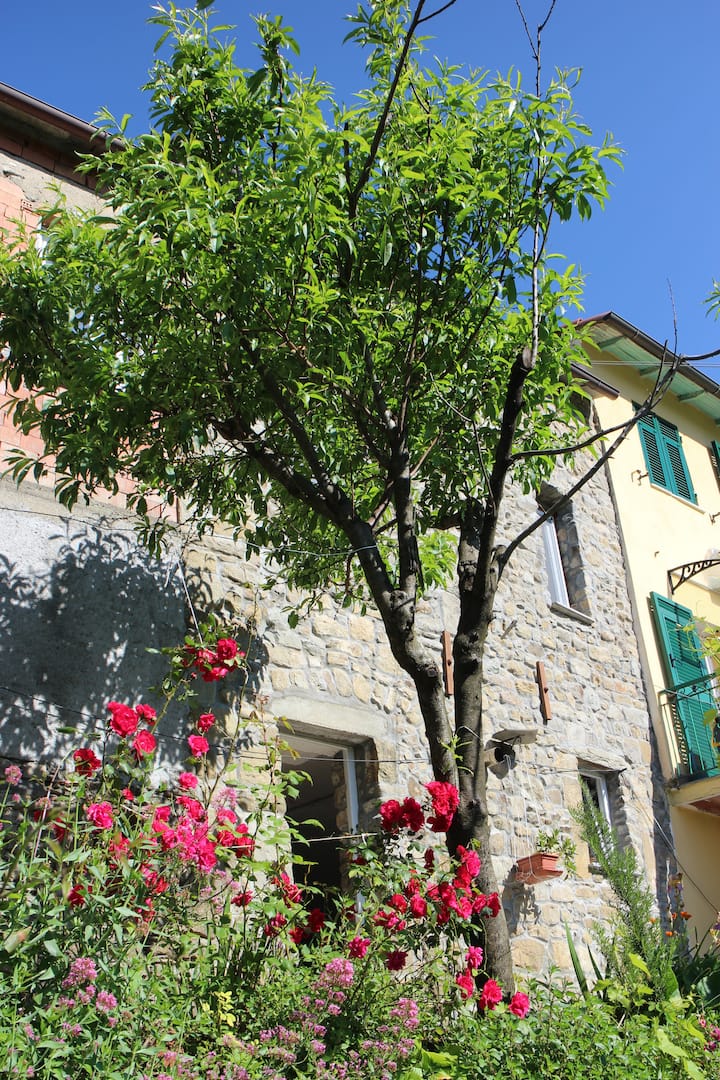 Il Nido Di Pesca - Rio