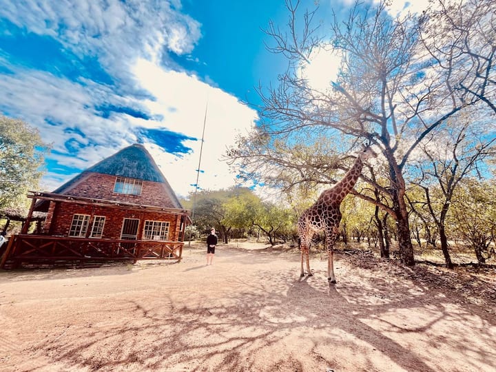 6 Sleeper House In Marloth Park - Marloth Park
