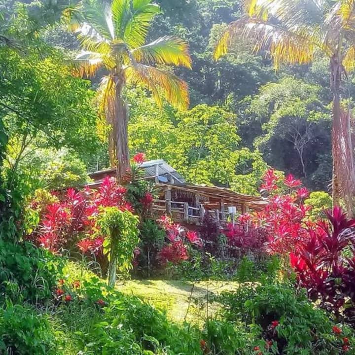Confort Y Naturaleza En Armonía - Villavicencio