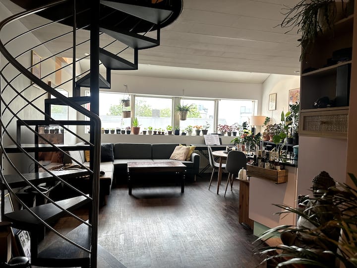 Small Cozy Loft Apartment - Reykjavík