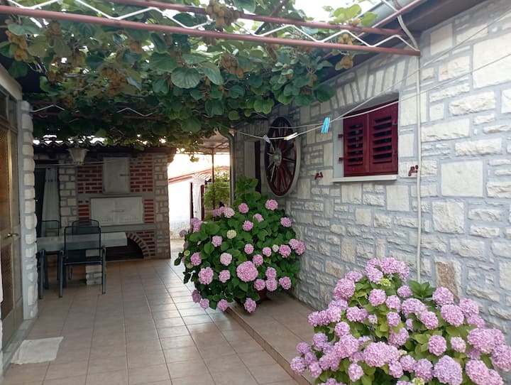 Apartman Kiwi - Savudrija