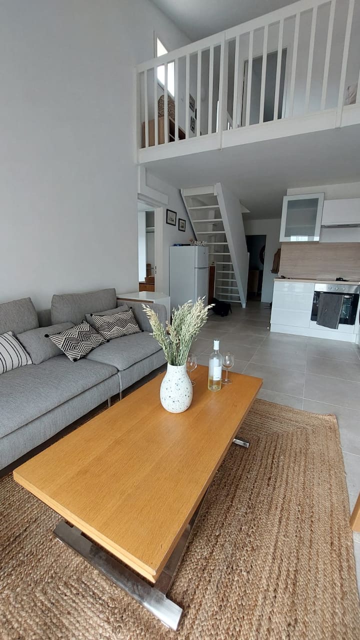 Duplex 3 Ch+ Mezz, Bord Mer, Pking,wifi,clim, 6 P - Le Grau-du-Roi