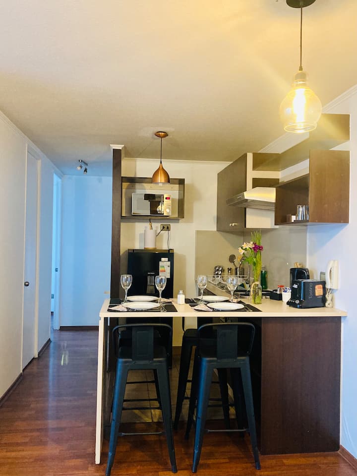 Apartamento En Santiago - Independencia