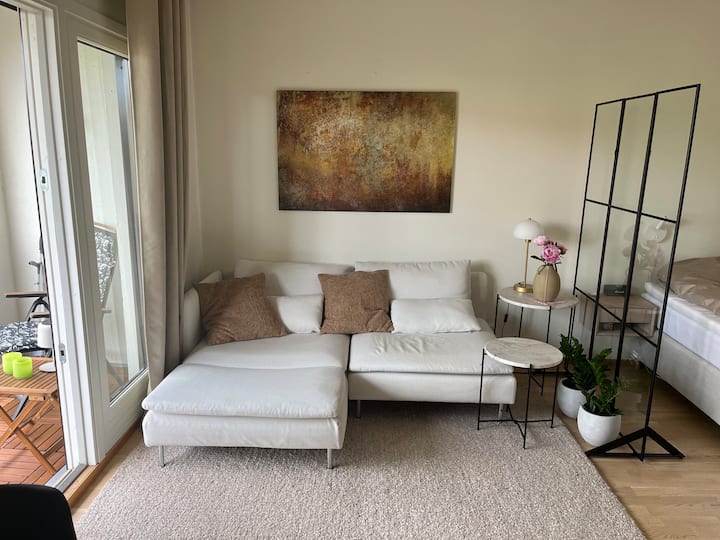 Liten Leiligh. -Sentralt & Rolig - Oslo