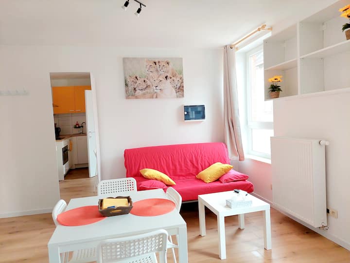 Appartement Vue Sur Jardin - Charleroi