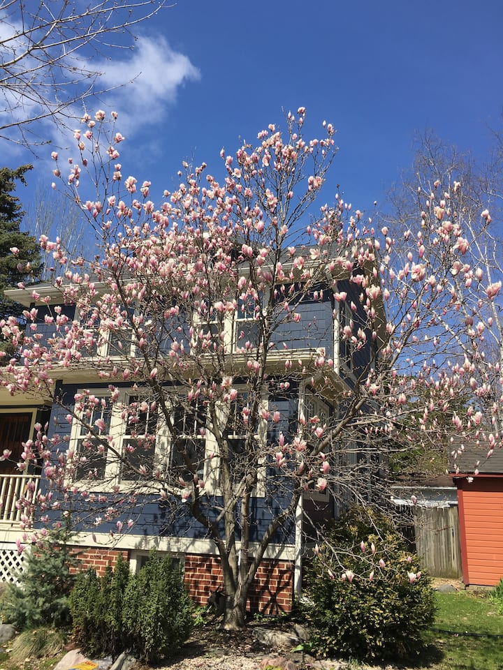 East Side Retreat - Madison, WI
