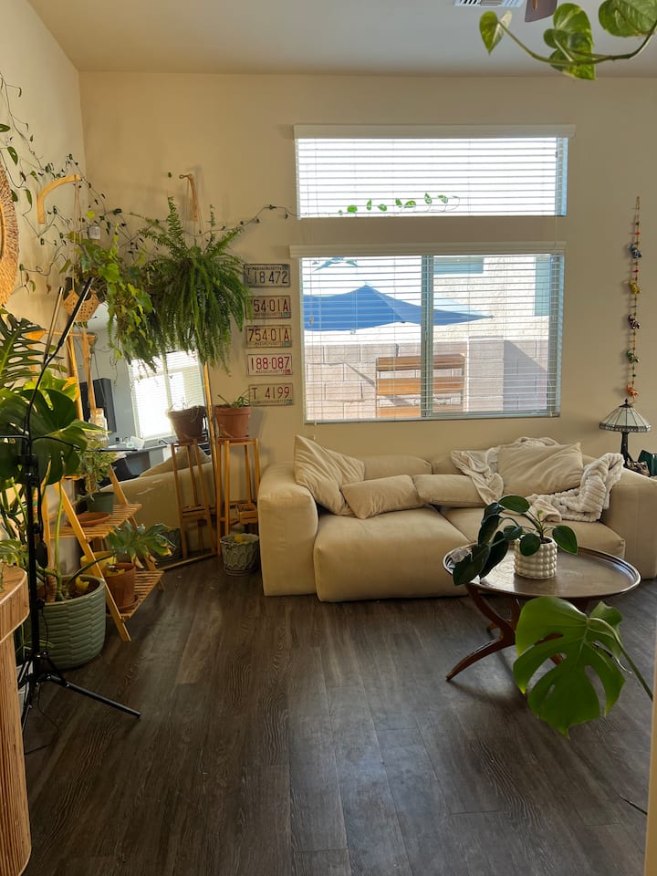 Cute One Bedroom Apartment - Marana, AZ