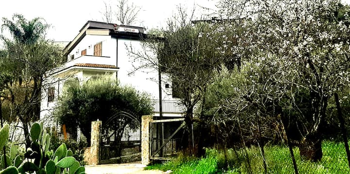 Casa Vacanze Menzel El Emir - Altavilla Milicia