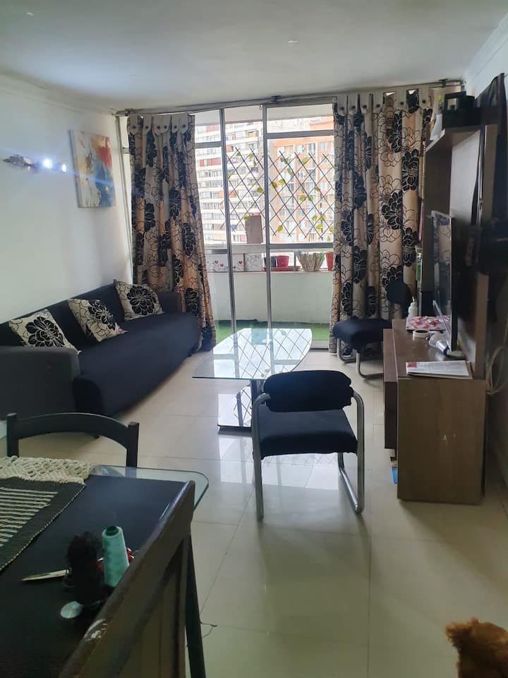 Hermoso Departamento Cerca Barrio Lastarria - Las Condes