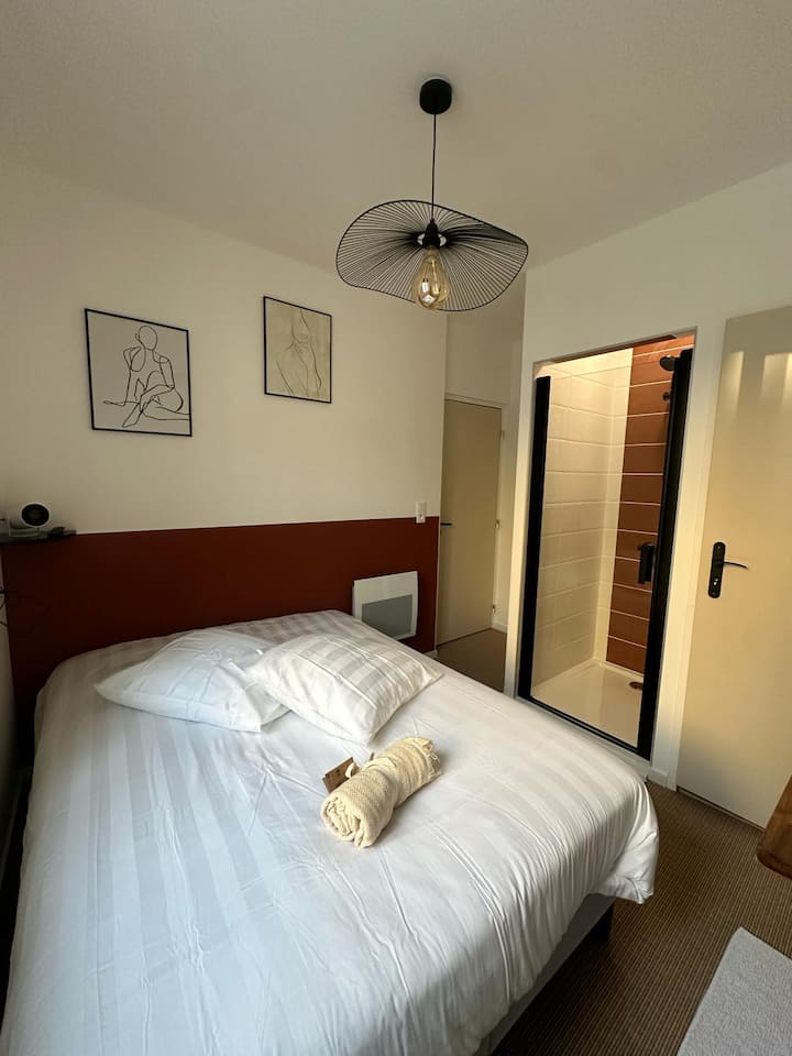 Chambre Avec Petit Déjeuner Inclus 200m Gare - Agen