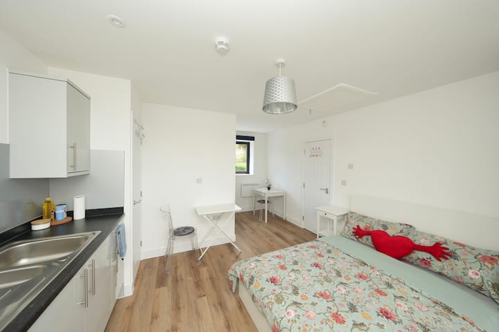 Derwent Apartment 7 - Oxford