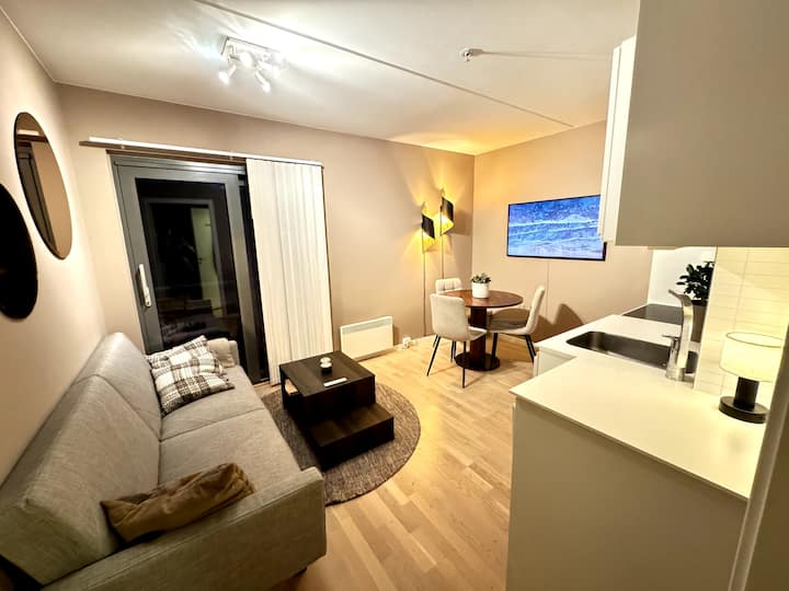 Hel Nyoppusset Leilighet Sentralt På Vakre Sagene - 奧斯陸