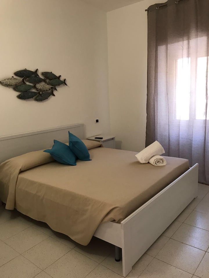 Camera Pesci - Palau