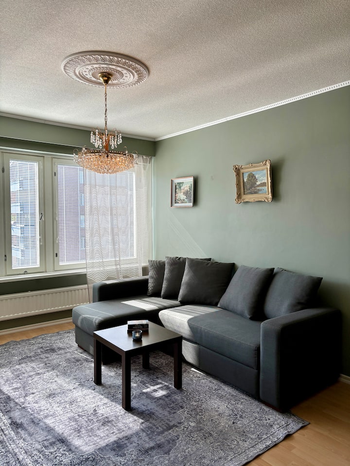 Cozy Central Apt W/ Free Parking - Tampere