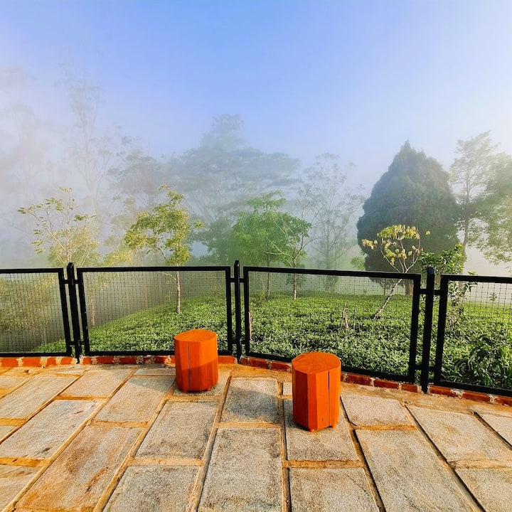 The Placid Rill - Idukki