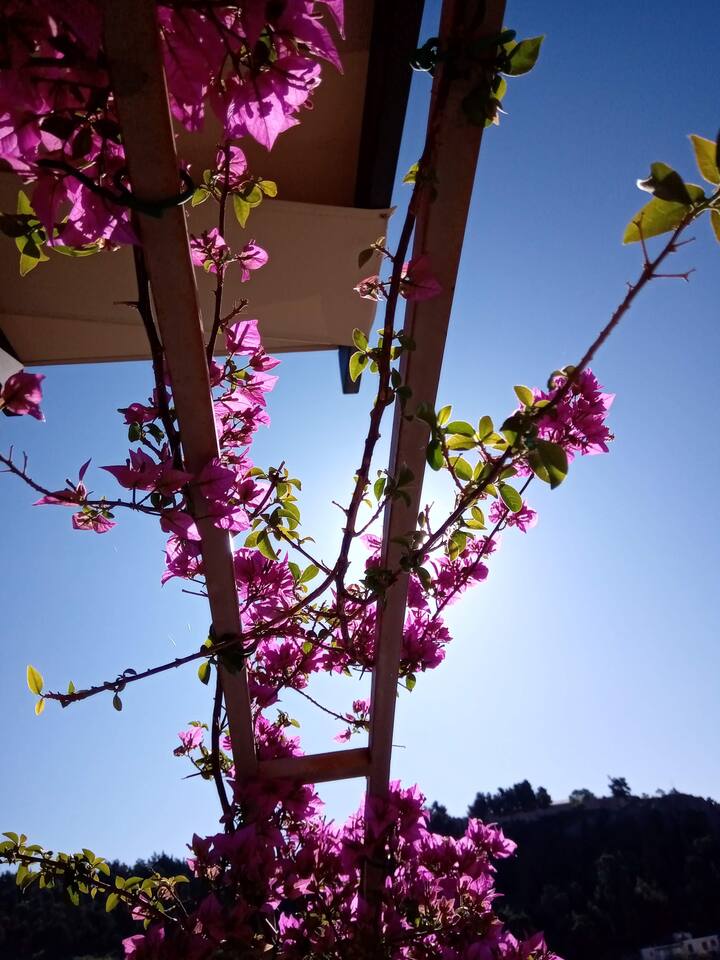 Πολυτελής μεζονέτα! μοναδικό! - Ламия