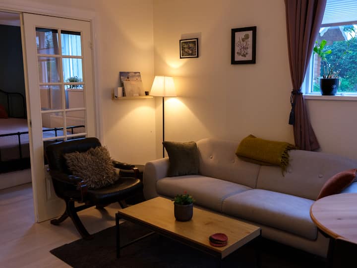 Apartment In Downtown Reykjavik - Reykjavik