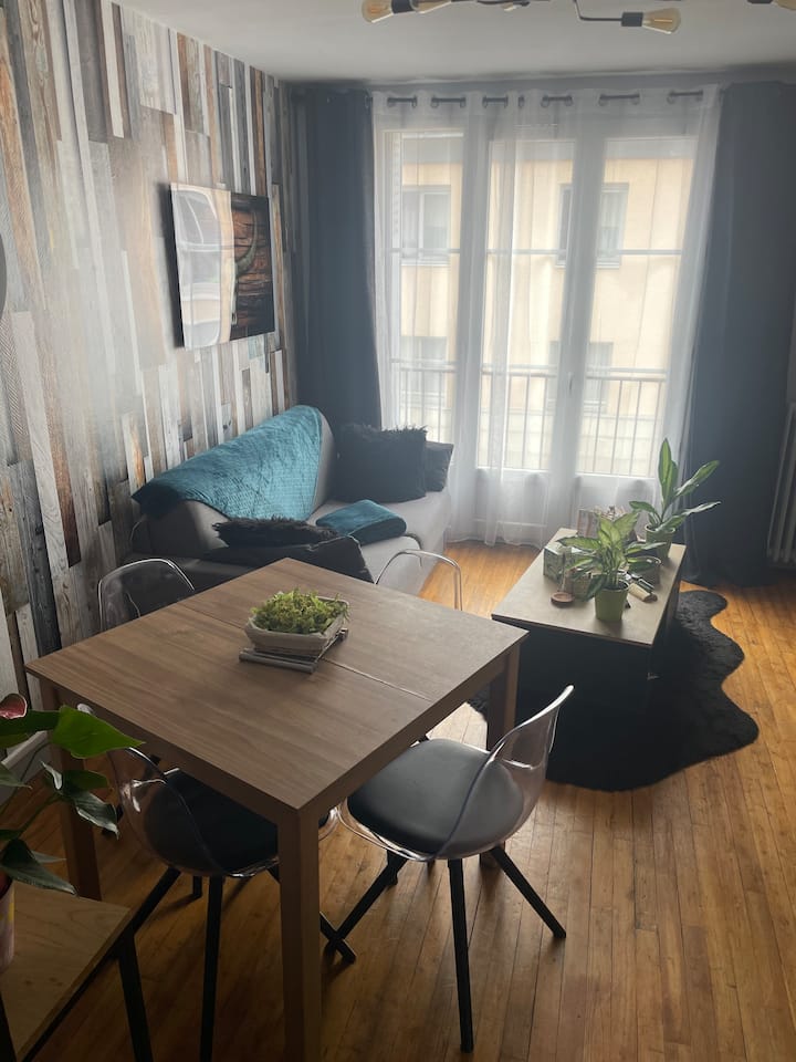 Appartement Cosy Cœur De Ville - Bourges