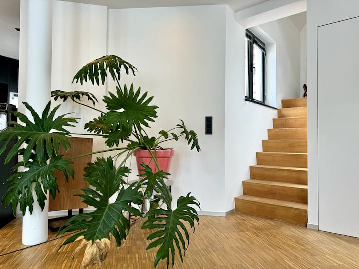 Central Luxury Duplex Apartment - Amberes, Bélgica