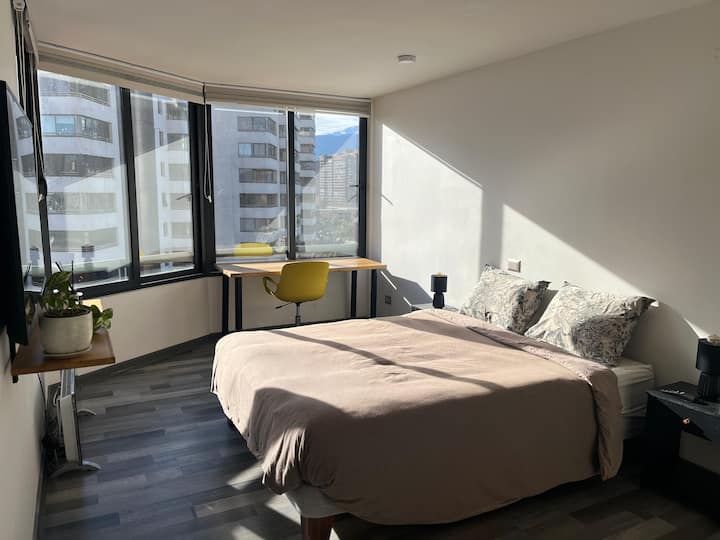 Amplia Habitación En Departamento Compartido - Las Condes