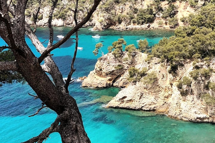 Click!omg Beachpool Thesecretmadinecocoon Provence - La Ciotat