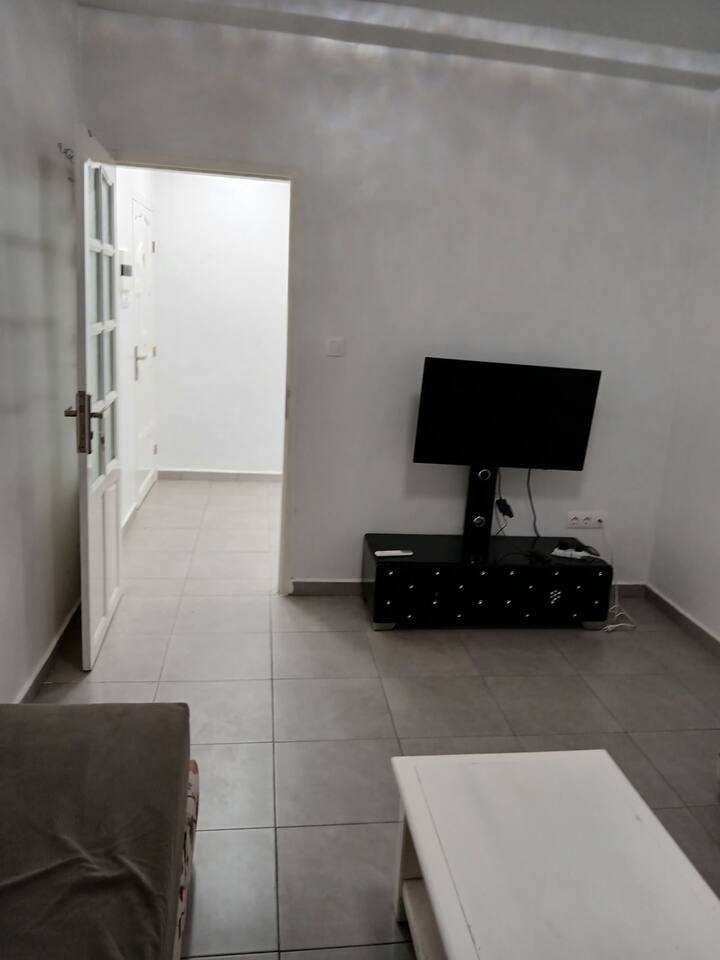Apparemment Salamendre Mostaganem - Mostaganem