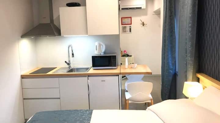 Vila Burbonka Studios - Nova Gorica