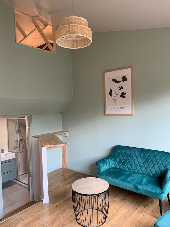 Bel Appartement T1 Bis - Épinal