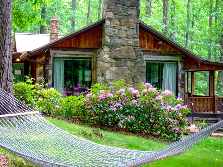 Favorite Mountain Cabin Overlooks Trout Pond - Asheville, NC