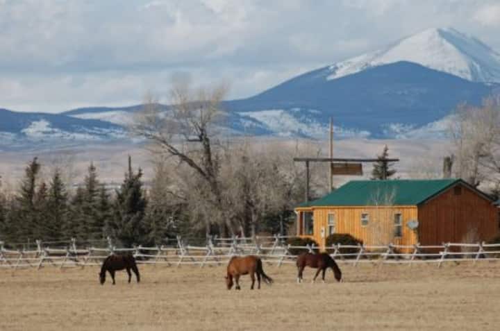 Timber Wolf Cabin-great Views! - Dillon, MT