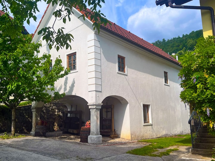 Vineyard Cottage Kovačnica - Gradac