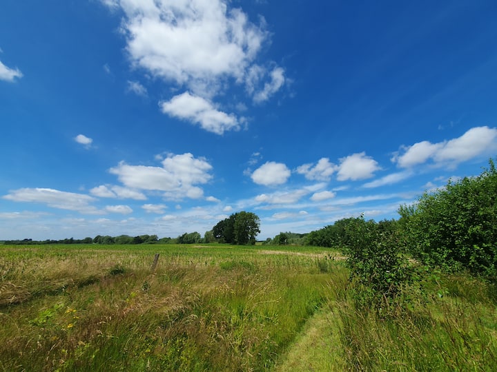 Wiese Am Maisfeld - Hohenkirchen