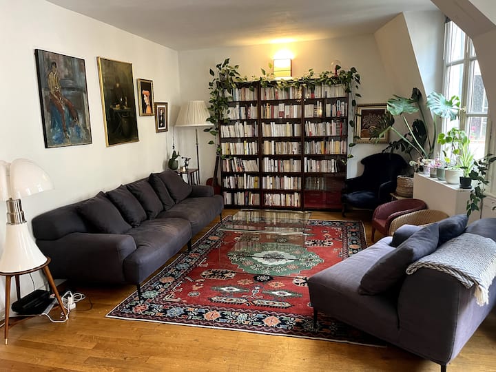 Appartement Spacieux Et Calme Plein Centre Ville - Lyon